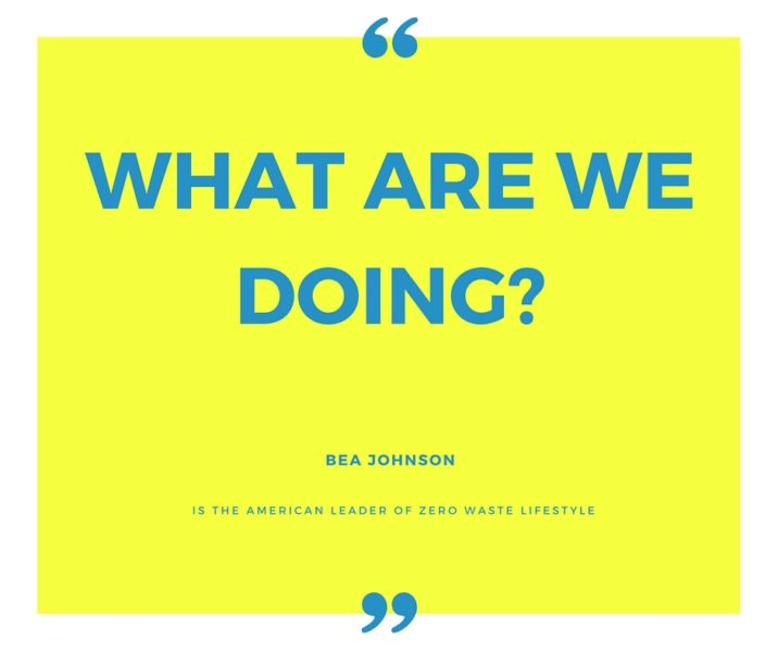 Bea Johnson: Zero Waste Home - Mehr als Grünzeug